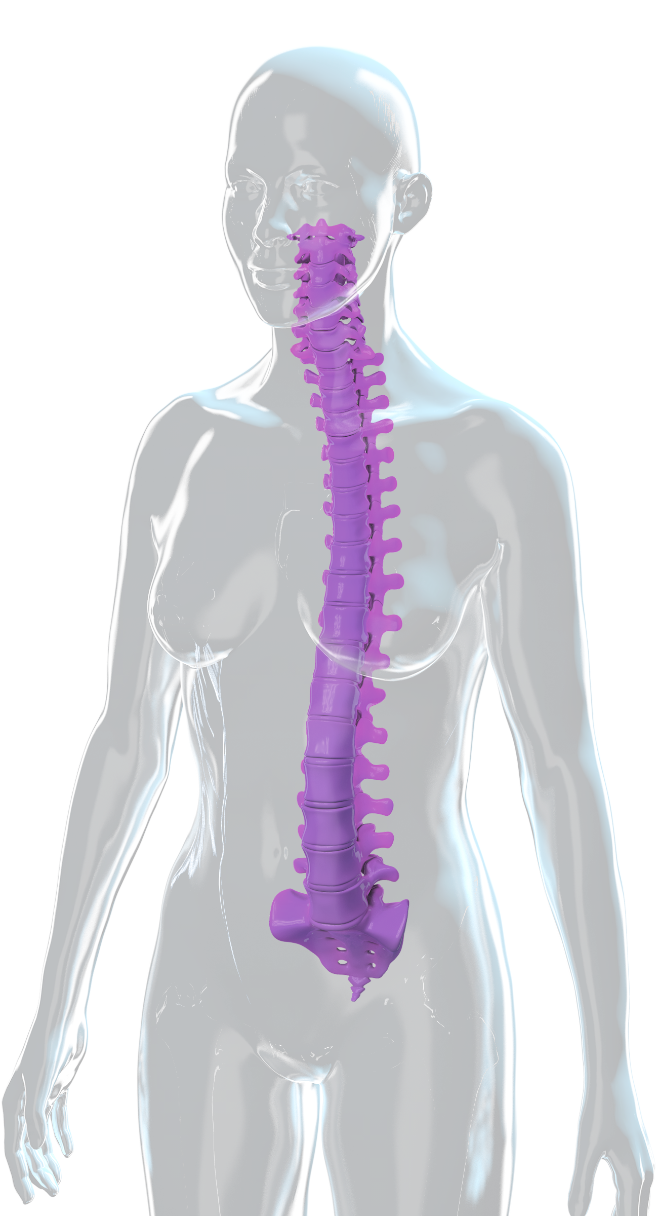 ONETRAC LX Procedure Animation - CooperSurgical