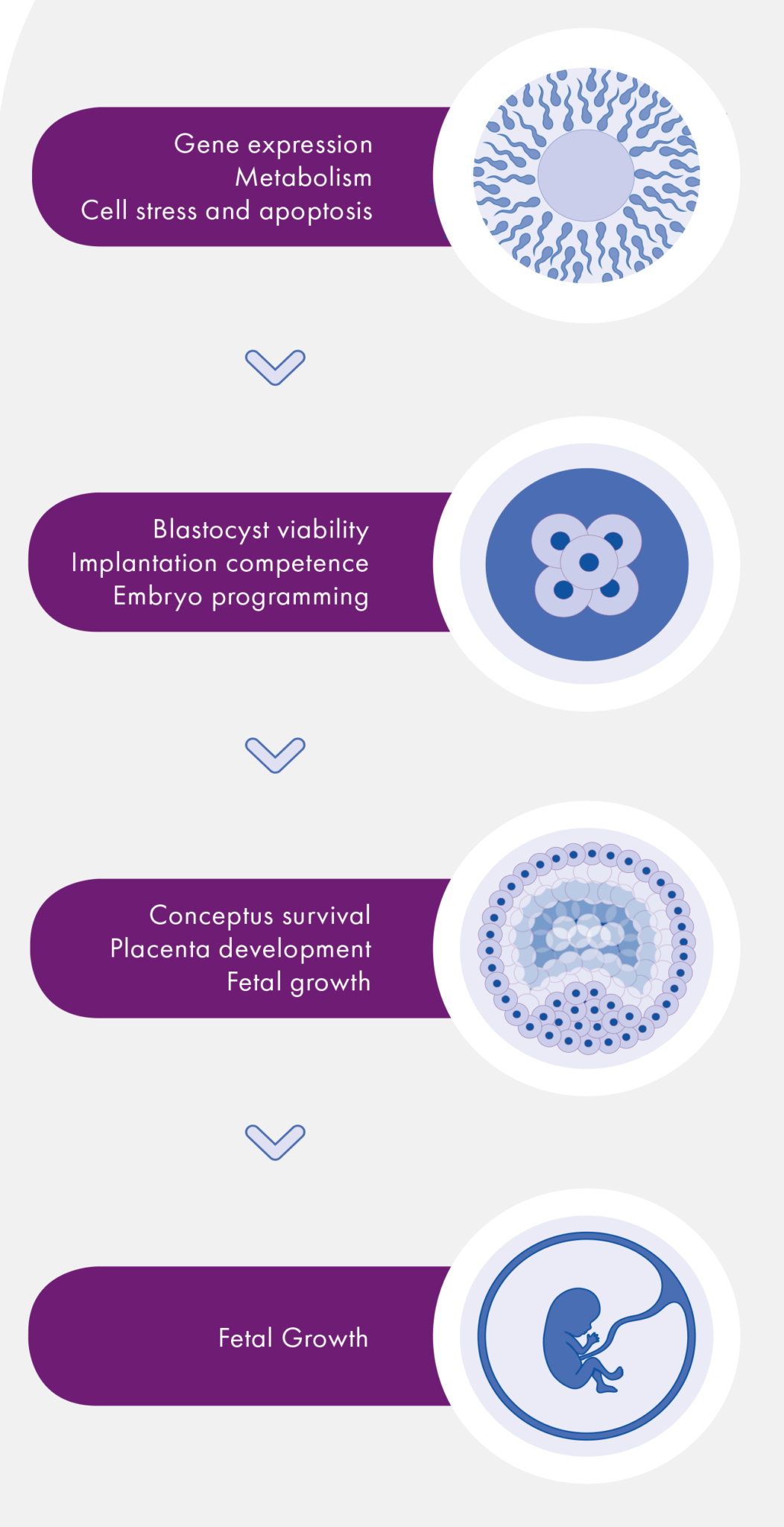 ART Scientific Newsletter: GM-CSF In IVF Embryo Culture - CooperSurgical